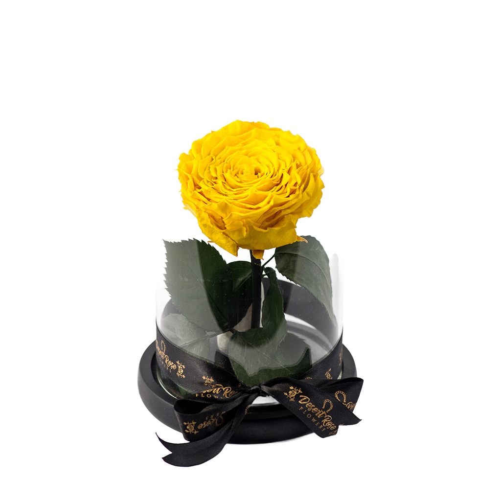 Yellow Infinity rose in a glass dome with black wood base – Deserto Flower