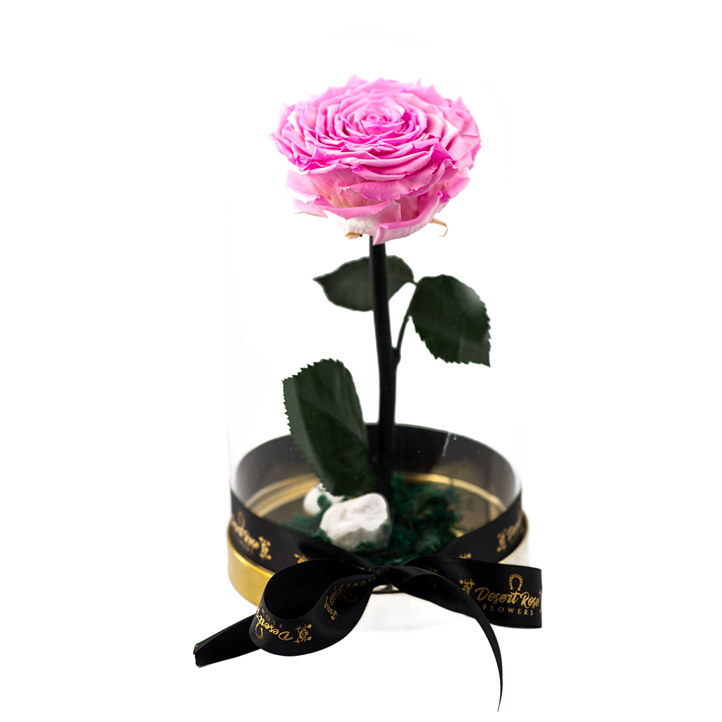 Pink long stem infinity rose in a glass dome with golden base – Deserto ...