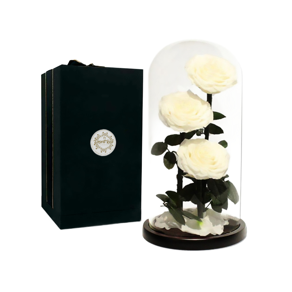 White Infinity roses in a glass dome – 3 Roses – Deserto Flower
